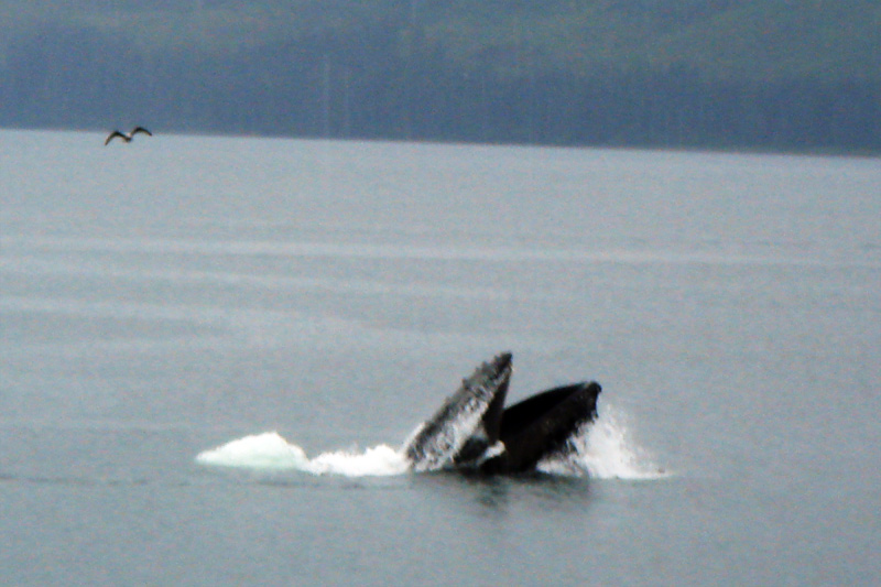 MACKEY GRAPHICS DESIGN AND DEVELOPMENT - LANDSCAPE PHOTOGRAPHY