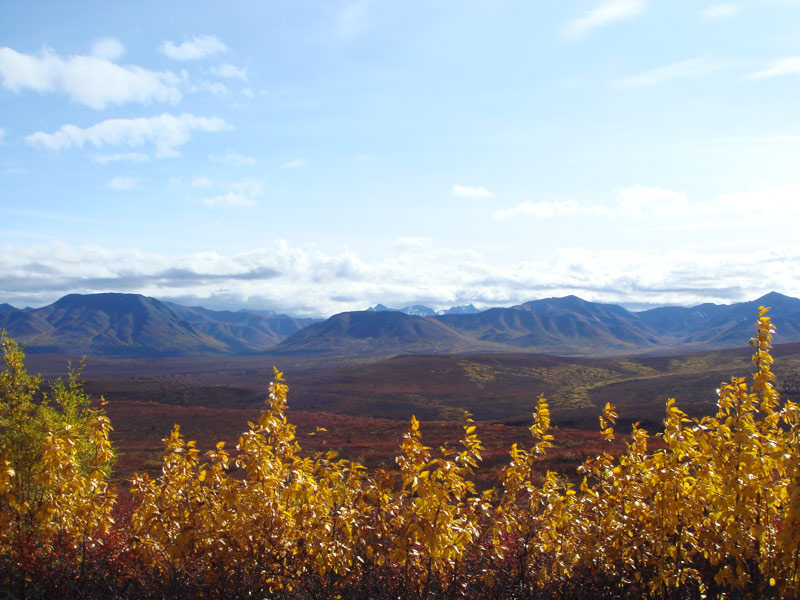 MACKEY GRAPHICS DESIGN AND DEVELOPMENT - LANDSCAPE PHOTOGRAPHY