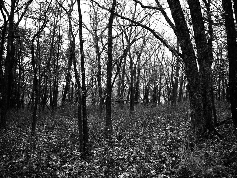 MACKEY GRAPHICS DESIGN AND DEVELOPMENT - LANDSCAPE PHOTOGRAPHY